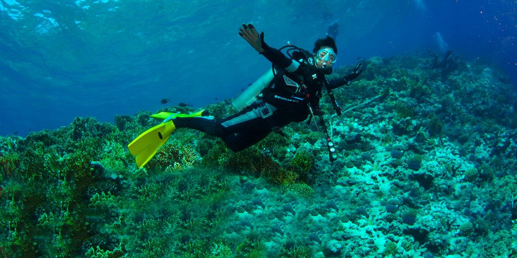Buceo en Galápagos: precios para todos los amantes del buceo